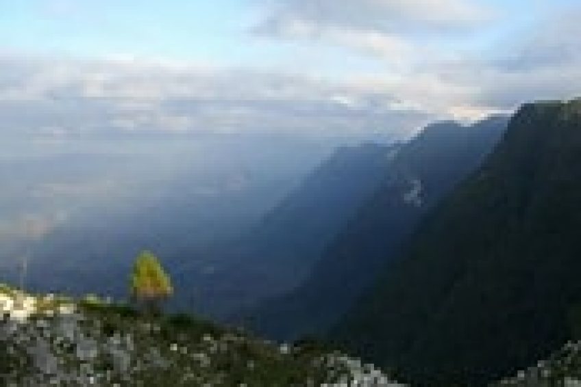 PARC NATIONAL LA VISITE – Haiti Biz World